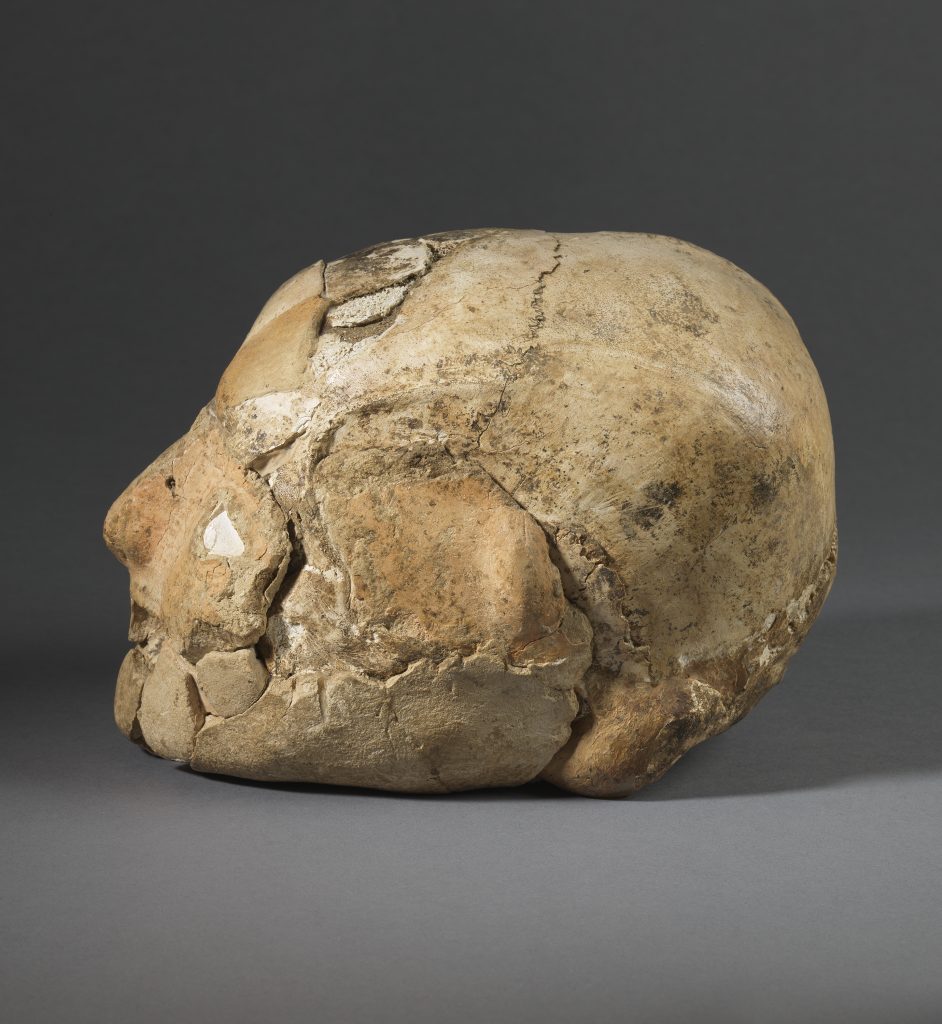 Plastered Human Skull – Museum of Near Eastern Archaeology